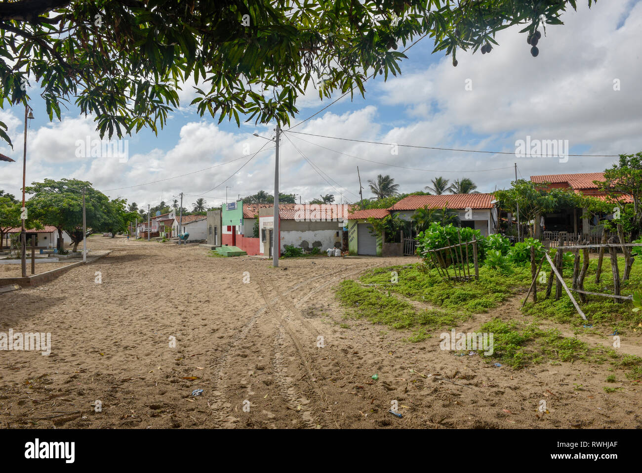 Mandacaru hi-res stock photography and images - Alamy