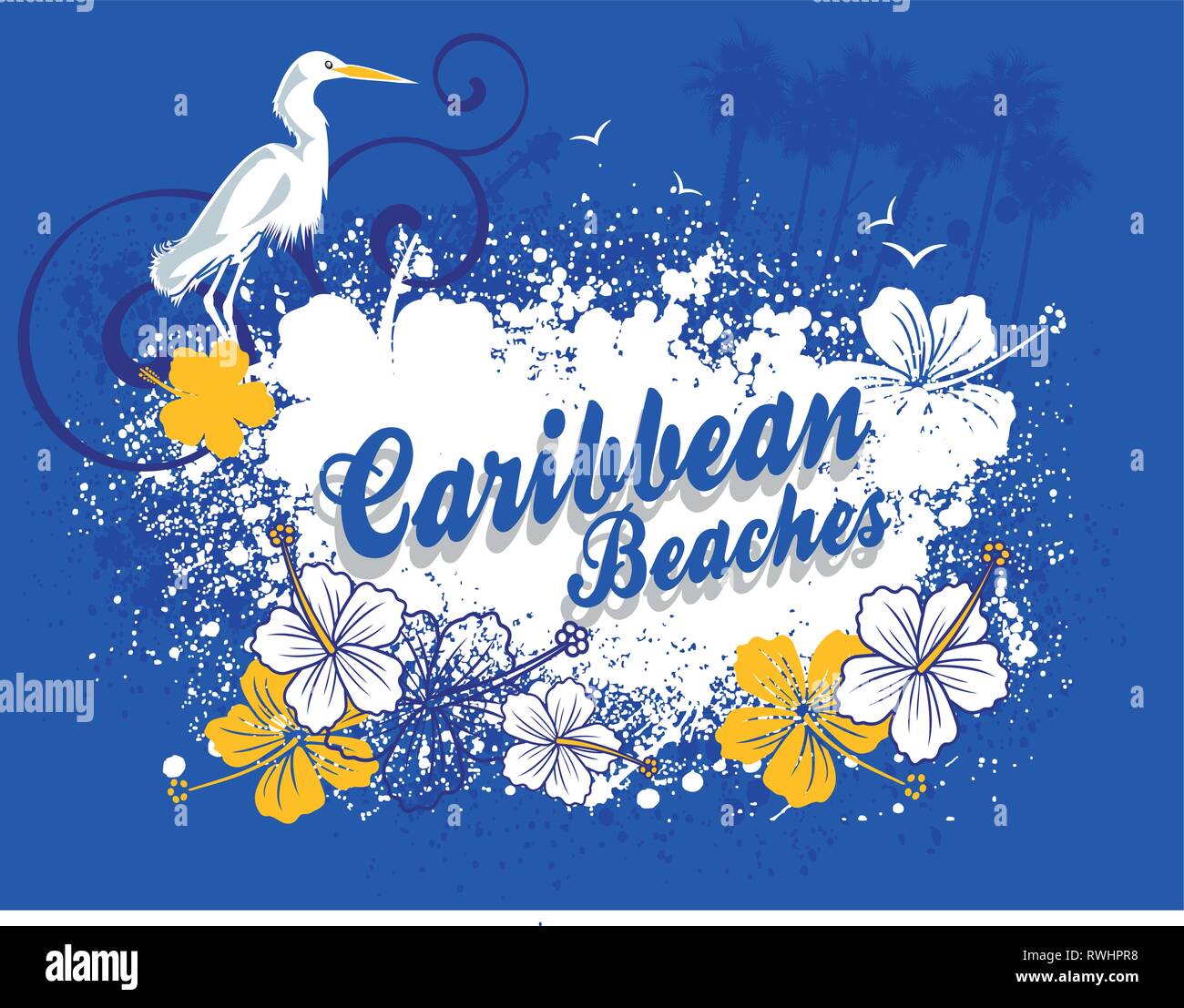 Caribbean sea birds Stock Vector Images - Alamy
