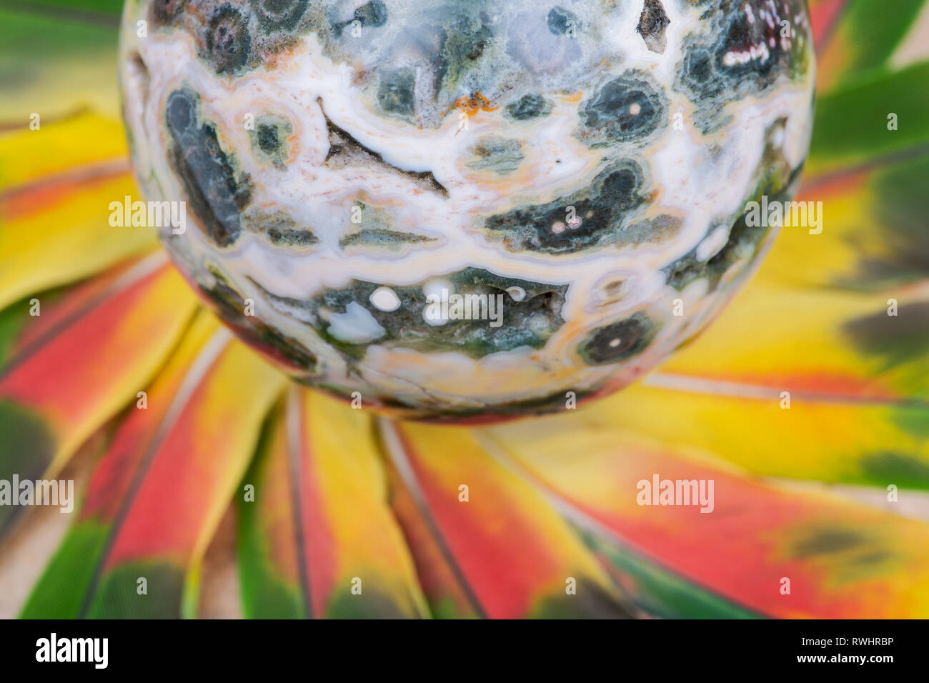 Orbicular structure hi-res stock photography and images - Alamy
