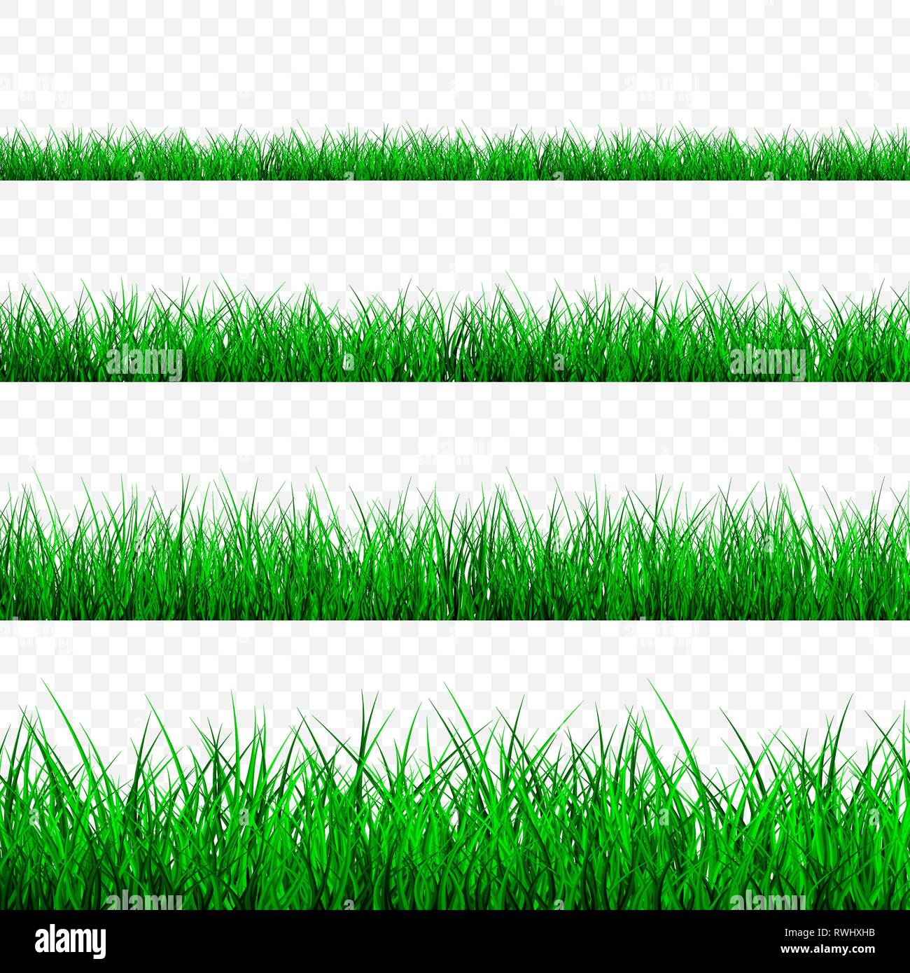 Green Grass Border Set, Vector Illustration Stock Vector Image & Art ...