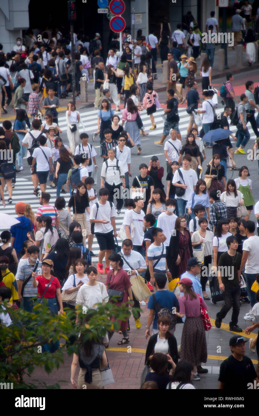 Asia, Japan, Tokyo, Shibuya cross Stock Photo - Alamy