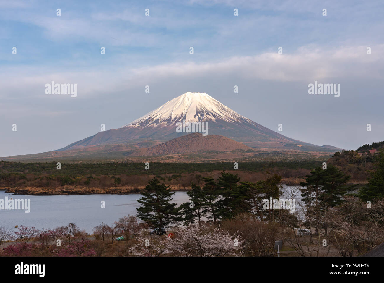 Mount Fuji or Mt. Fuji, the World Heritage, view at Lake Shoji ...