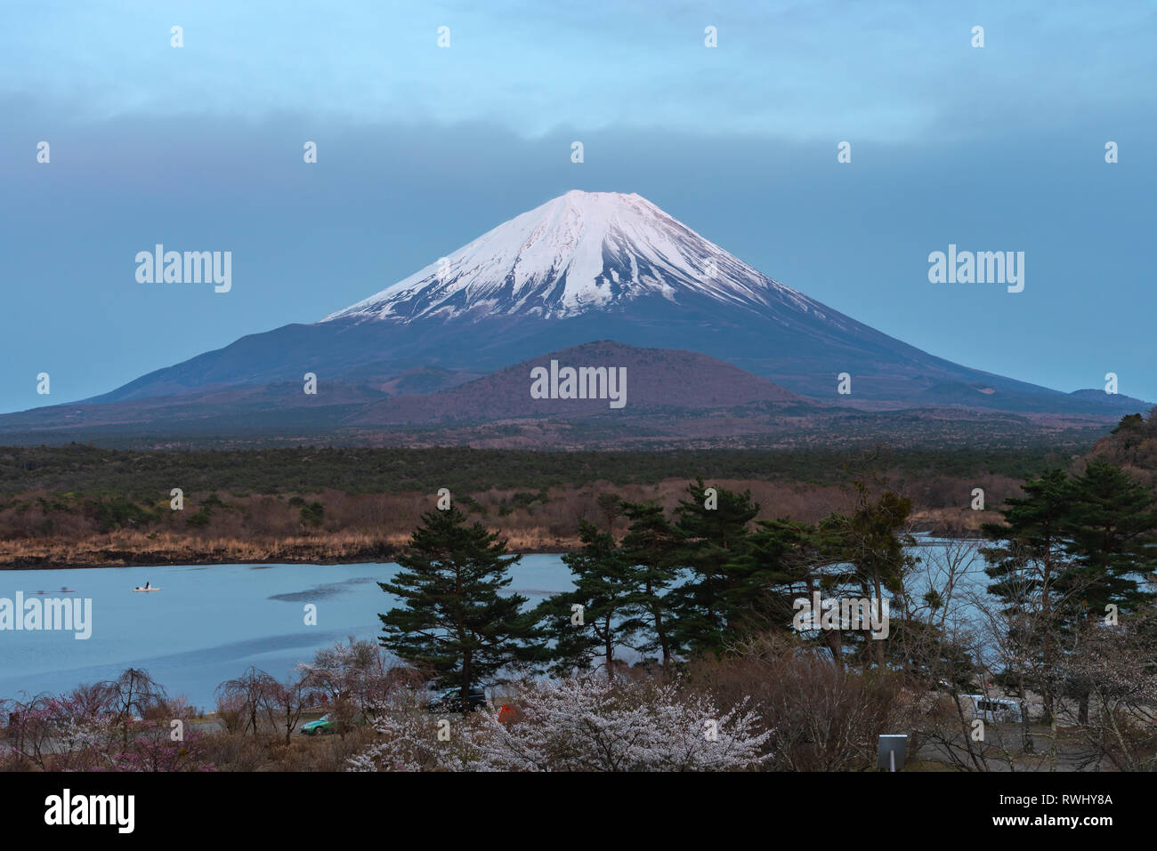Mount Fuji or Mt. Fuji, the World Heritage, view at Lake Shoji ...