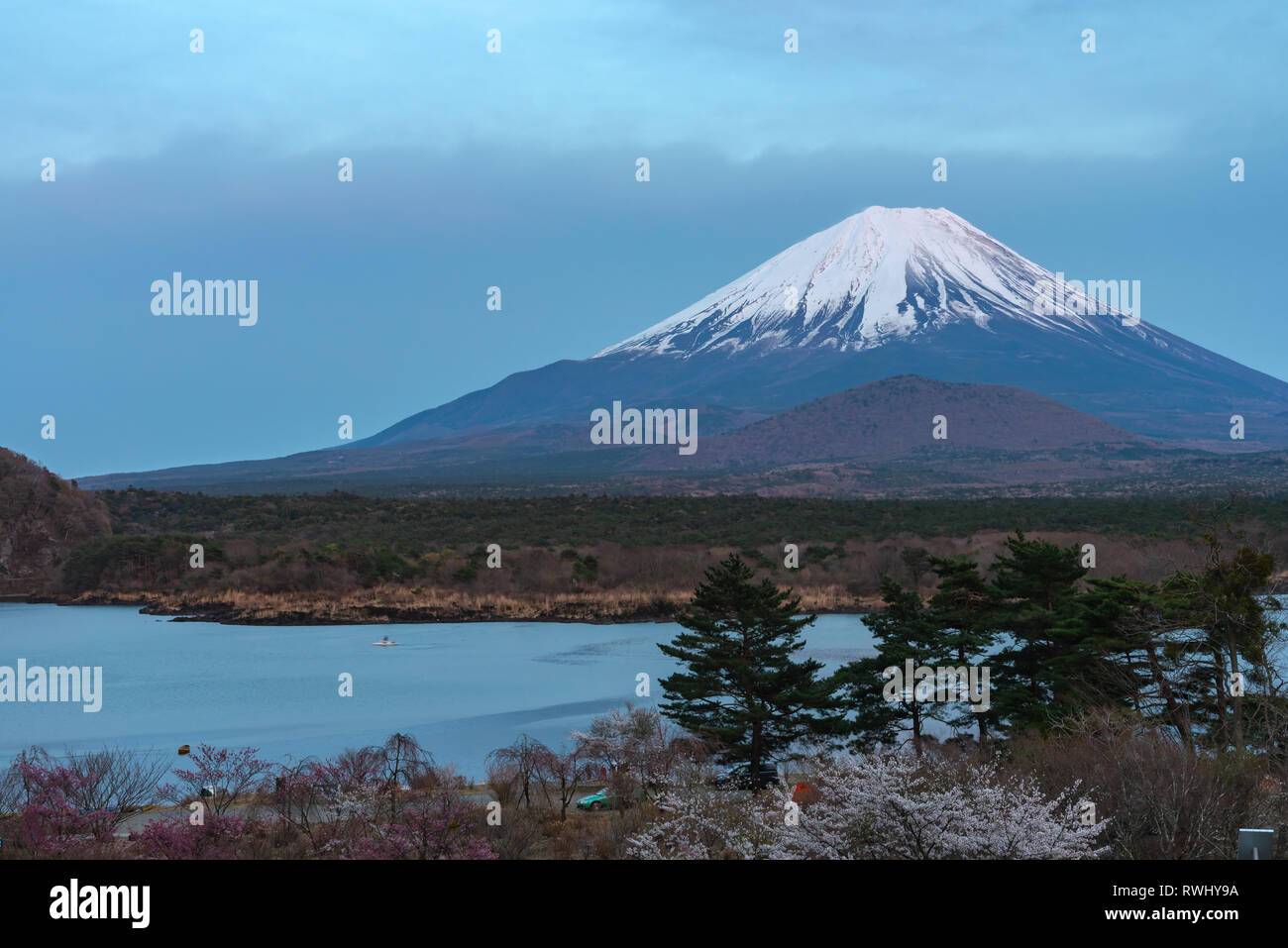 Mount Fuji or Mt. Fuji, the World Heritage, view at Lake Shoji ...