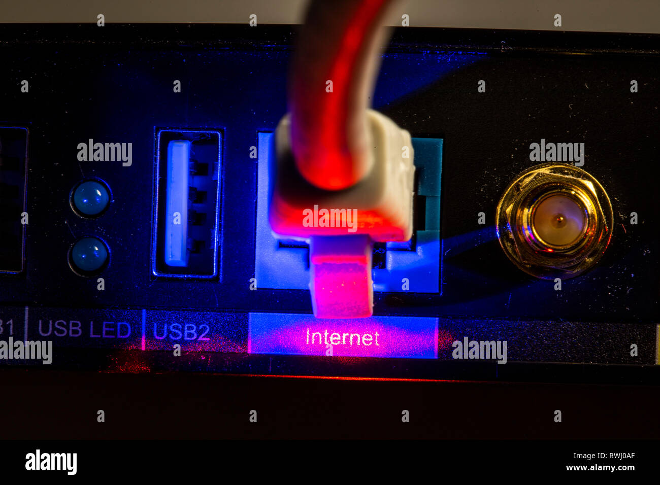 Internet connection, RJ45 plug, LAN cable, patch cable, in an Internet ...