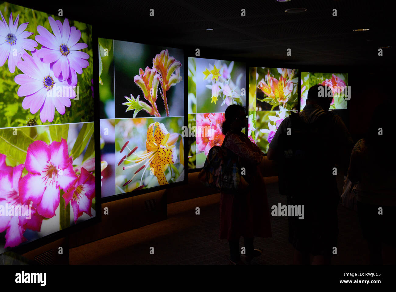Inside the arboretum at the botanic gardens hi-res stock photography ...