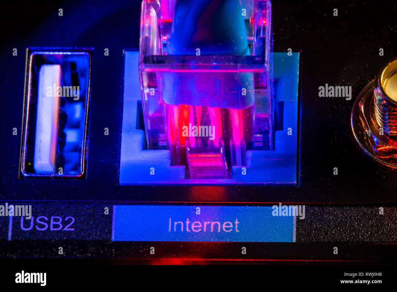 Internet connection, RJ45 plug, LAN cable, patch cable, in an Internet ...
