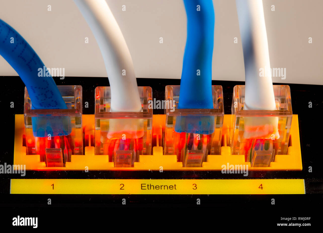 Internet connection, RJ45 plug, LAN cable, patch cable, in an Internet ...
