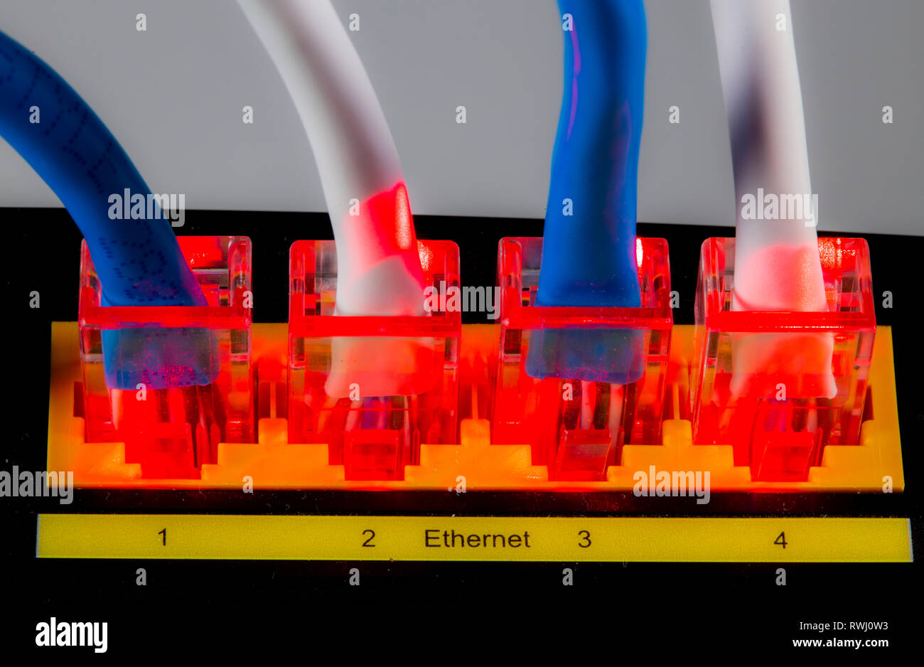 Internet connection, RJ45 plug, LAN cable, patch cable, in an Internet ...