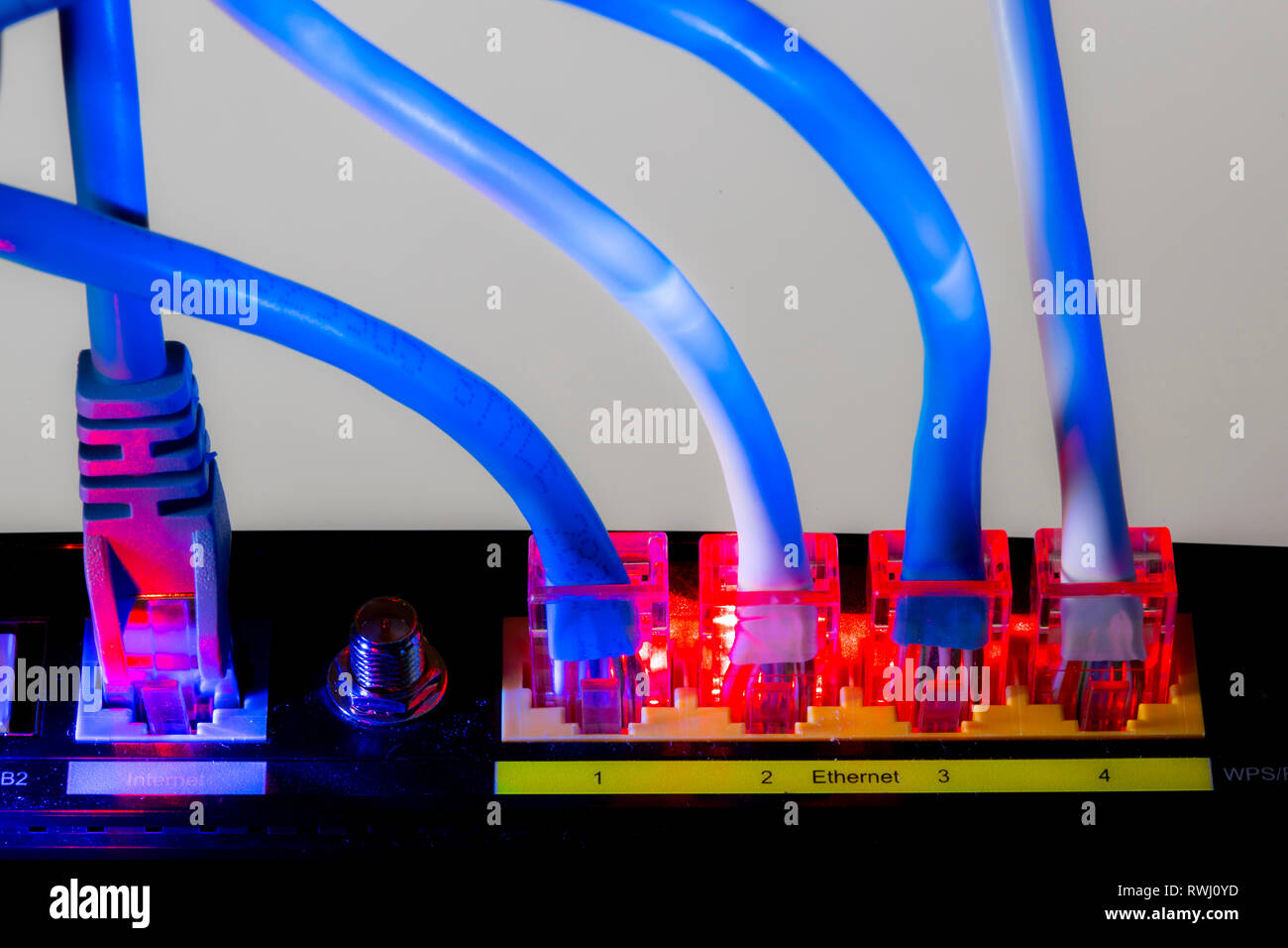 Internet connection, RJ45 plug, LAN cable, patch cable, in an Internet ...