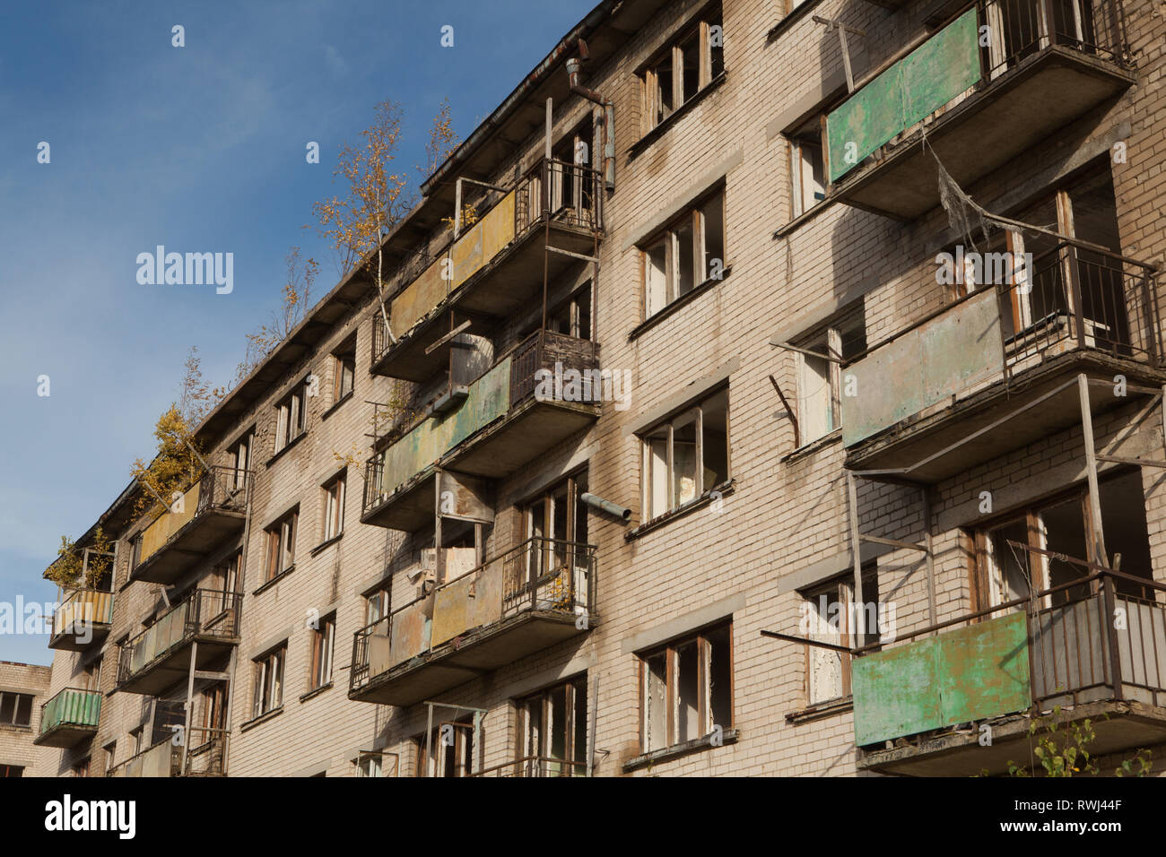 Trees growing from roof of abandoned apartment block at Skrunda-1 ...