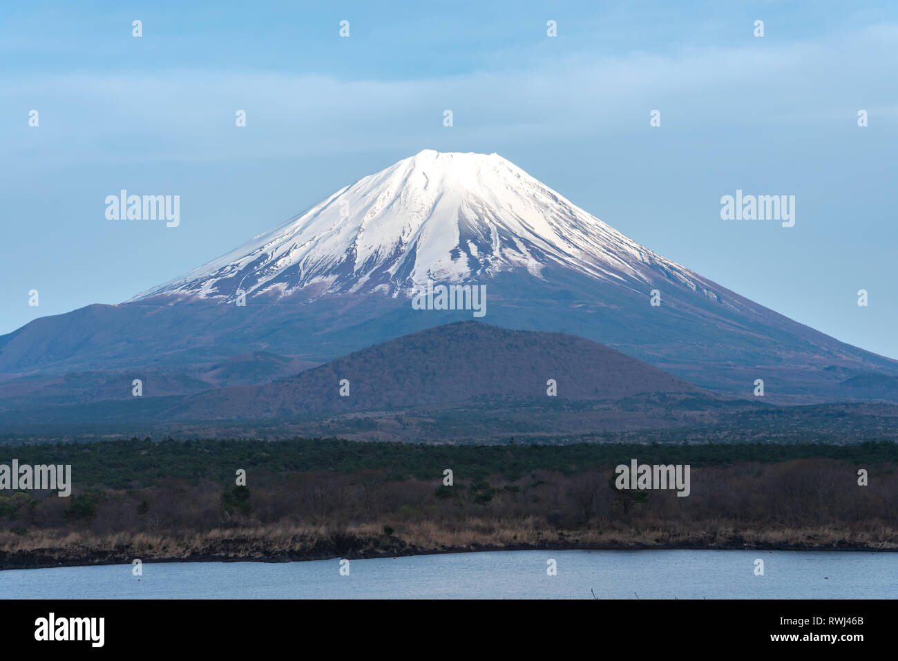 Mount Fuji or Mt. Fuji, the World Heritage, view at Lake Shoji ...