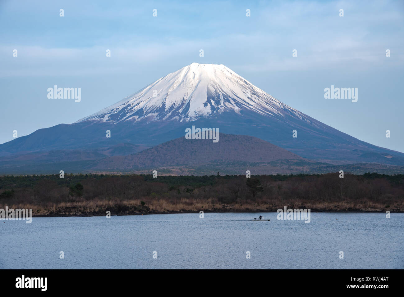 Mount Fuji or Mt. Fuji, the World Heritage, view at Lake Shoji ...