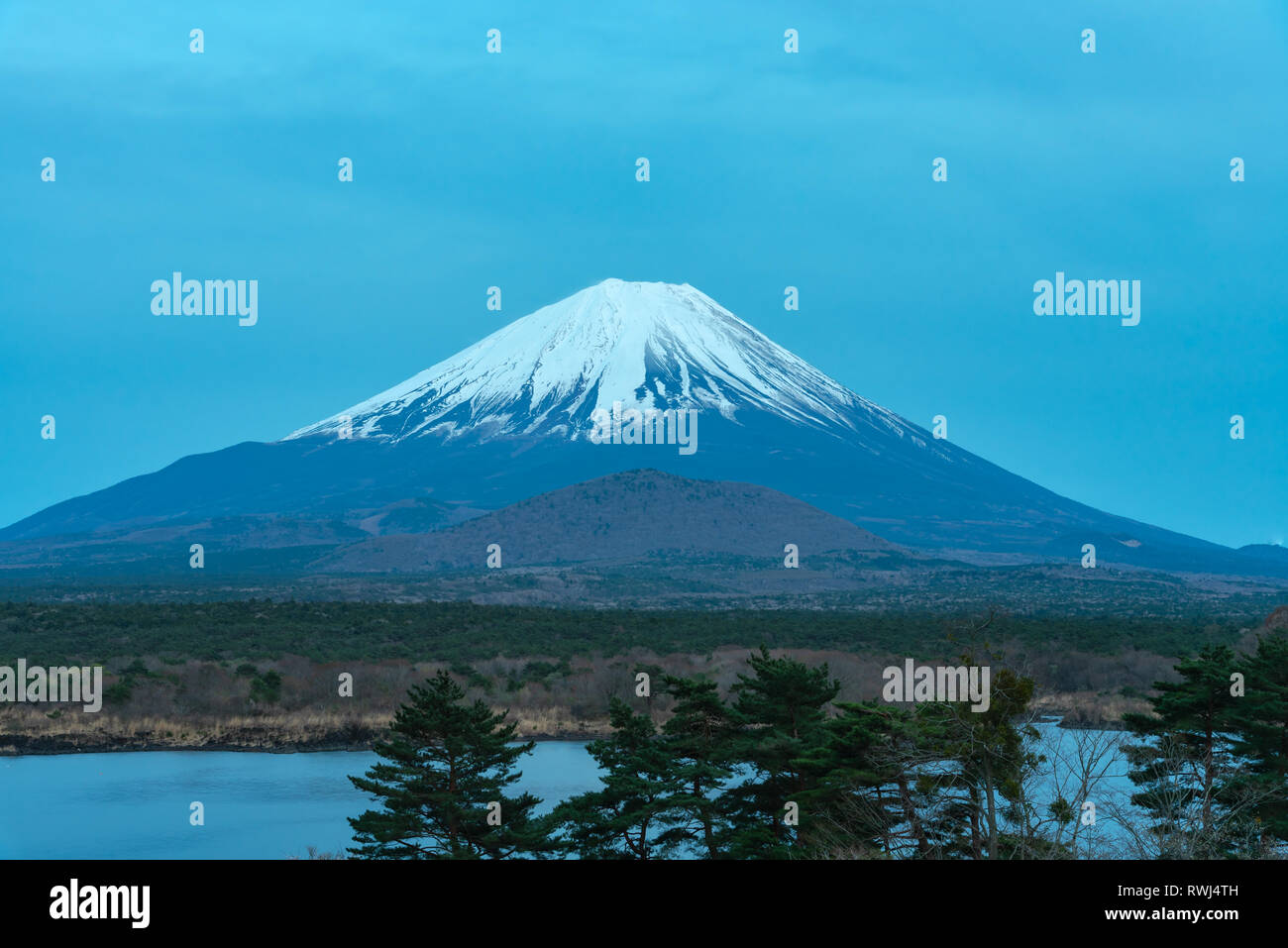 Mount Fuji or Mt. Fuji, the World Heritage, view at Lake Shoji ...