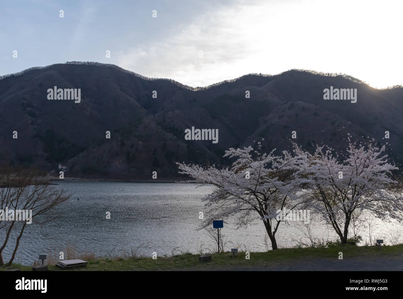 View of Lake shoji ( Shojiko ). Fuji Five Lake region, Minamitsuru ...
