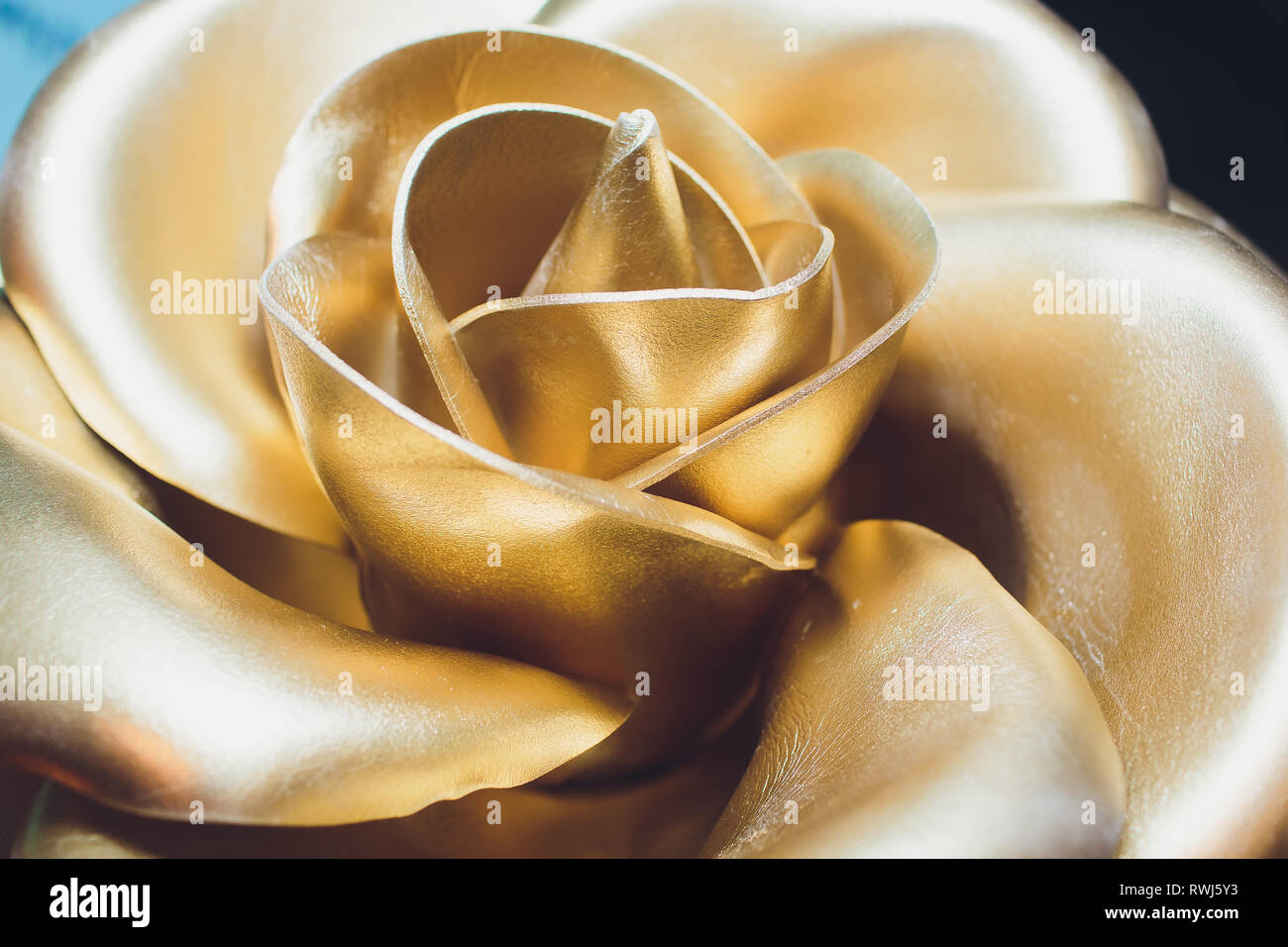 Amazing gold rose isolated. Golden Rose is a gold ornament, which popes ...