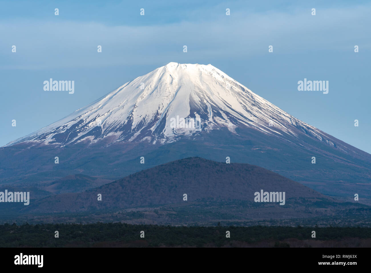 Mount Fuji or Mt. Fuji, the World Heritage, view at Lake Shoji ...