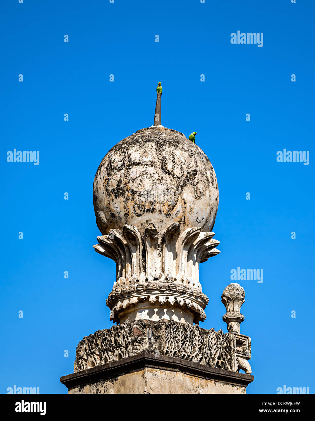 Parrots sitting on the side pillars of Golghumbaj-the mausoleum of king ...