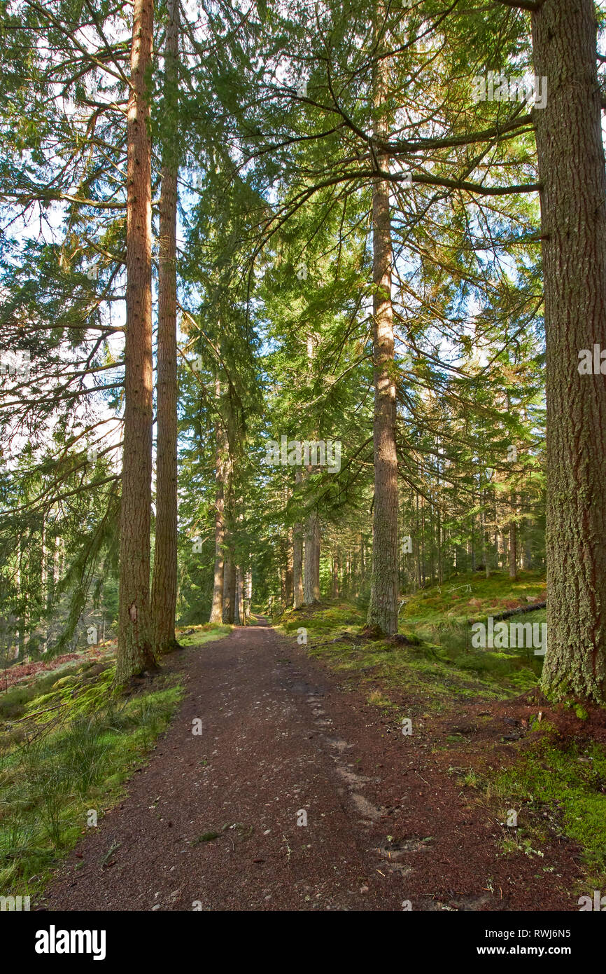 Douglas platform hi-res stock photography and images - Alamy