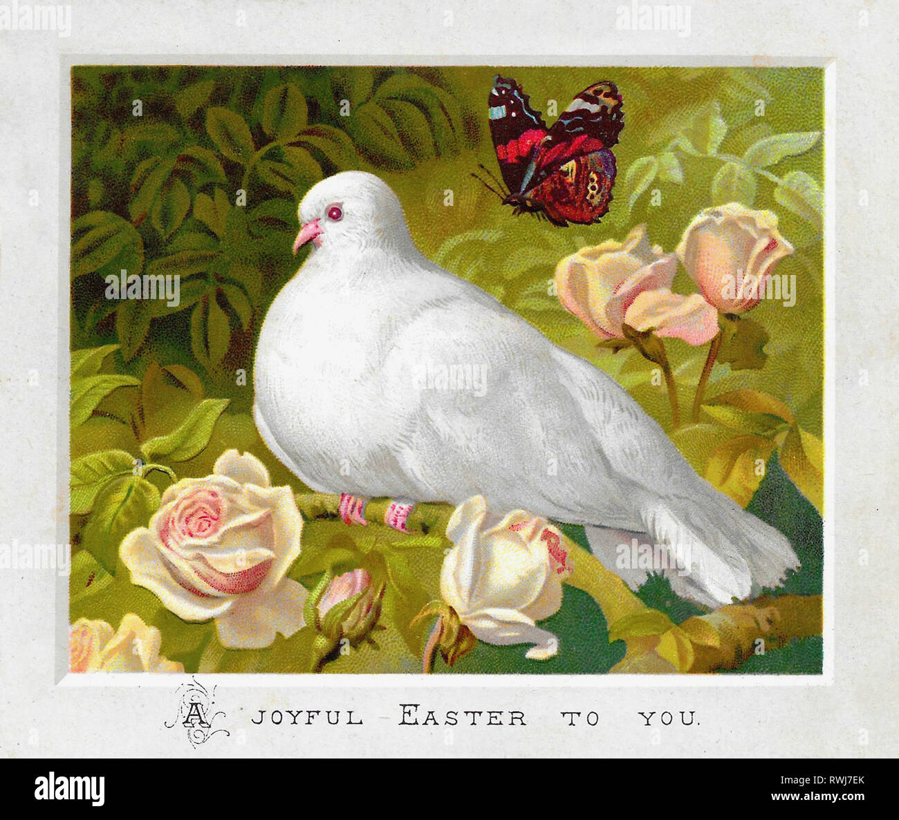 Doves at easter vintage card design Stock Photo - Alamy