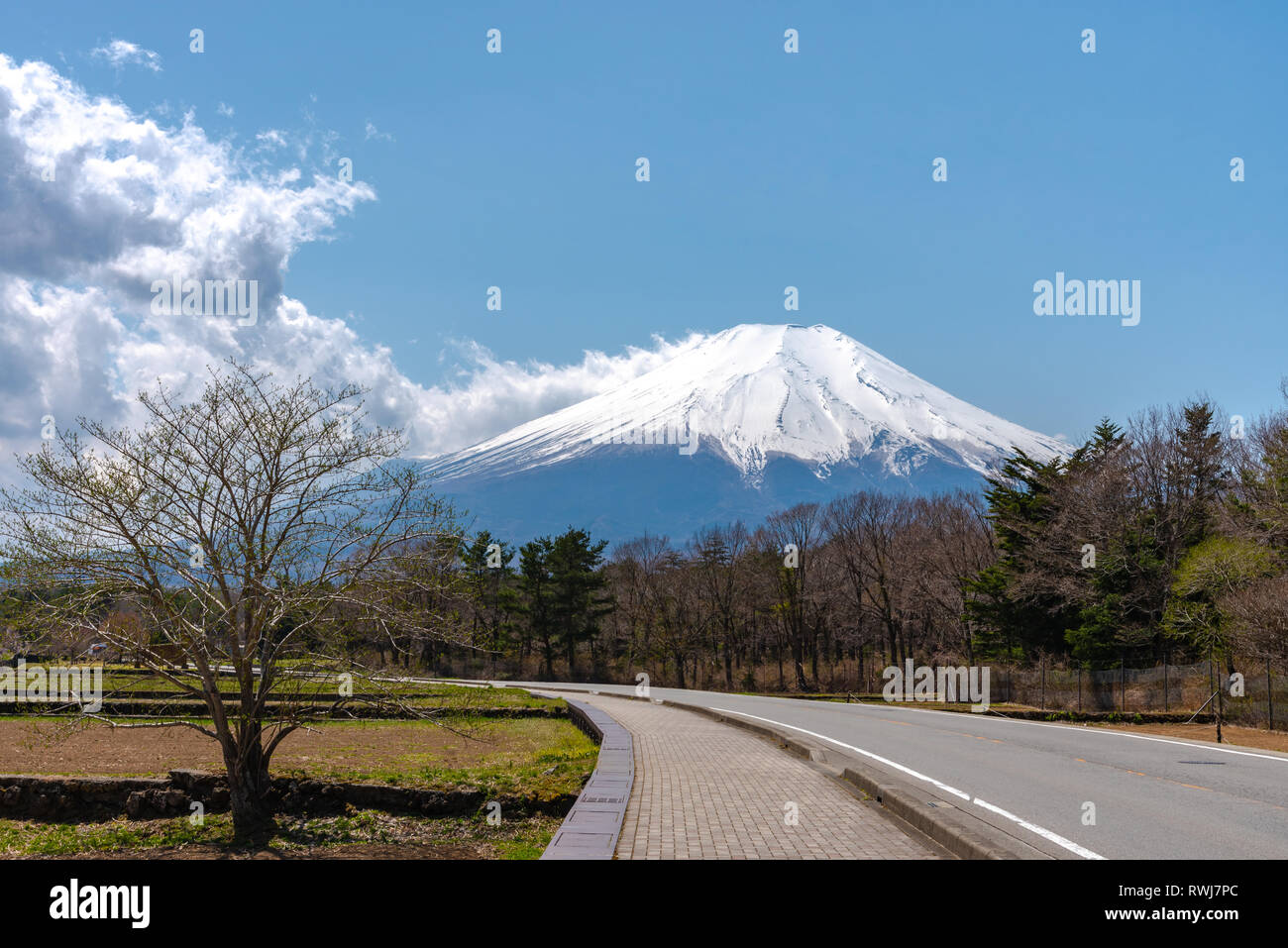 Close up snow covered Mount Fuji ( Mt. Fuji ) the World Heritage, in ...