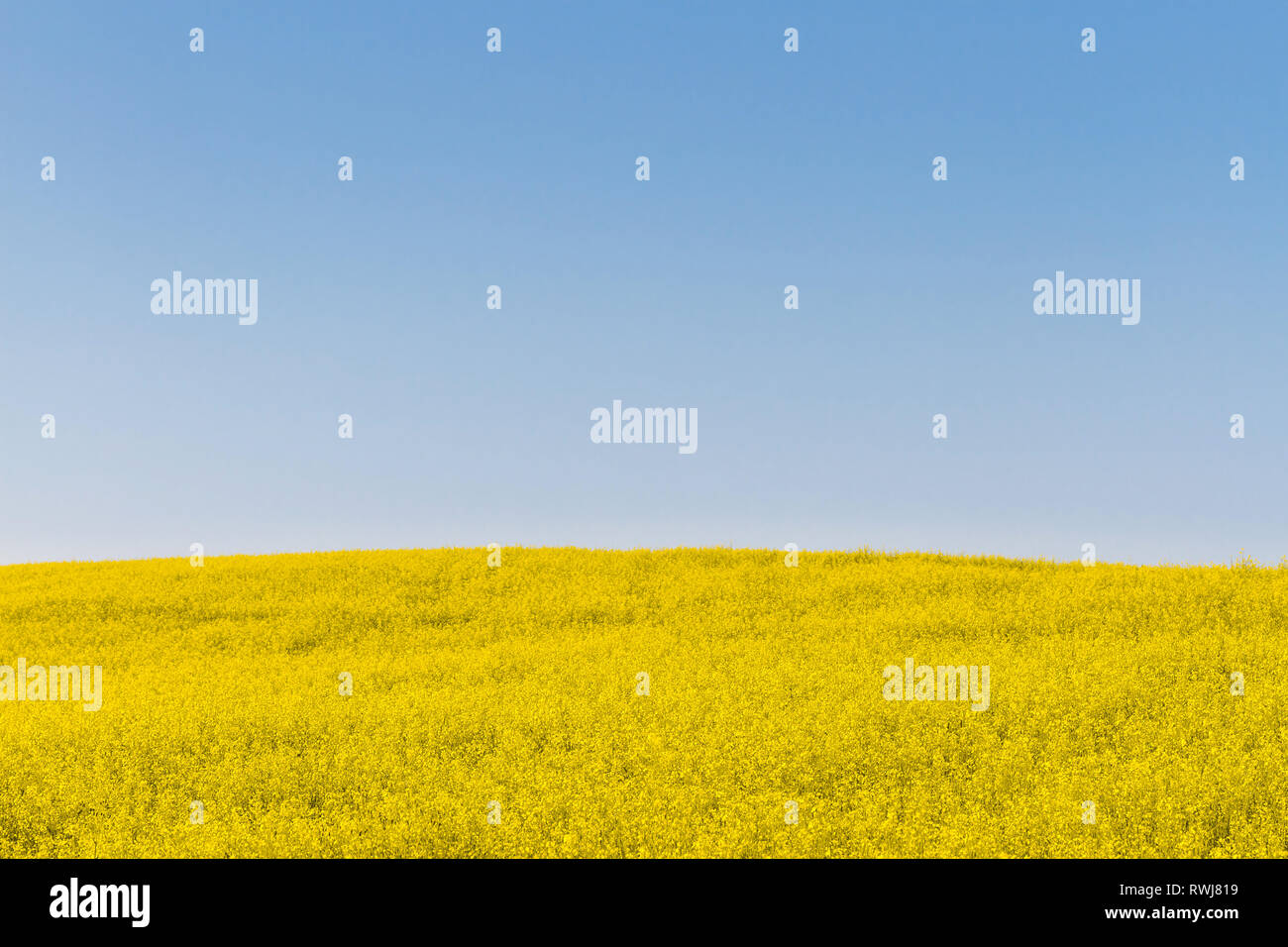Yellow landscape wallpaper hi-res stock photography and images - Alamy