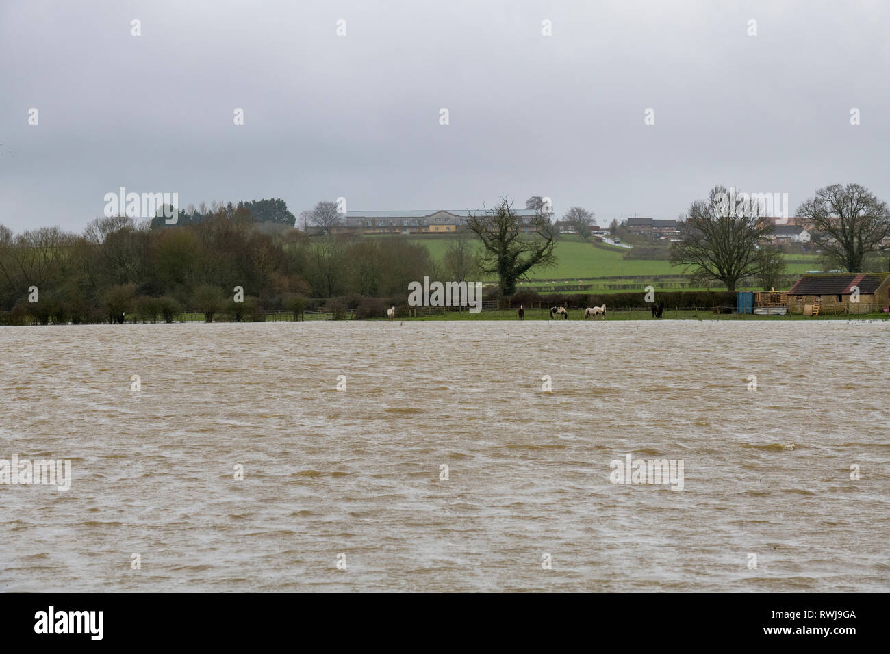 Martock, Somerset, UK. 6th Mar, 2019. UK Weather. Localised flooding as ...