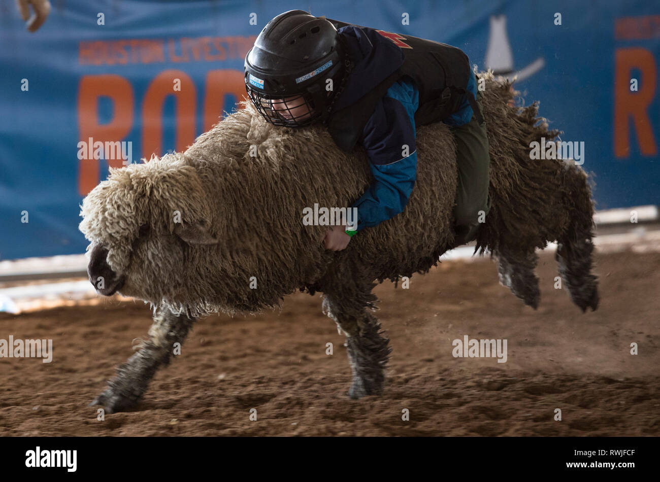 Children ride sheep hi-res stock photography and images - Alamy