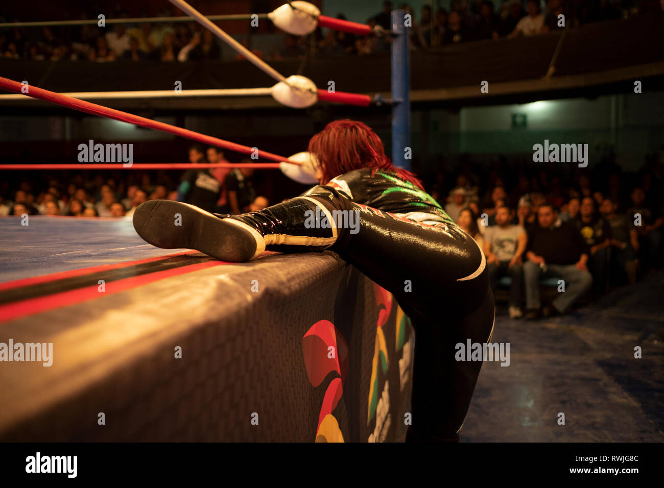 Mexiko Stadt, Mexico. 02nd Mar, 2019. Marcela, the reigning champion ...