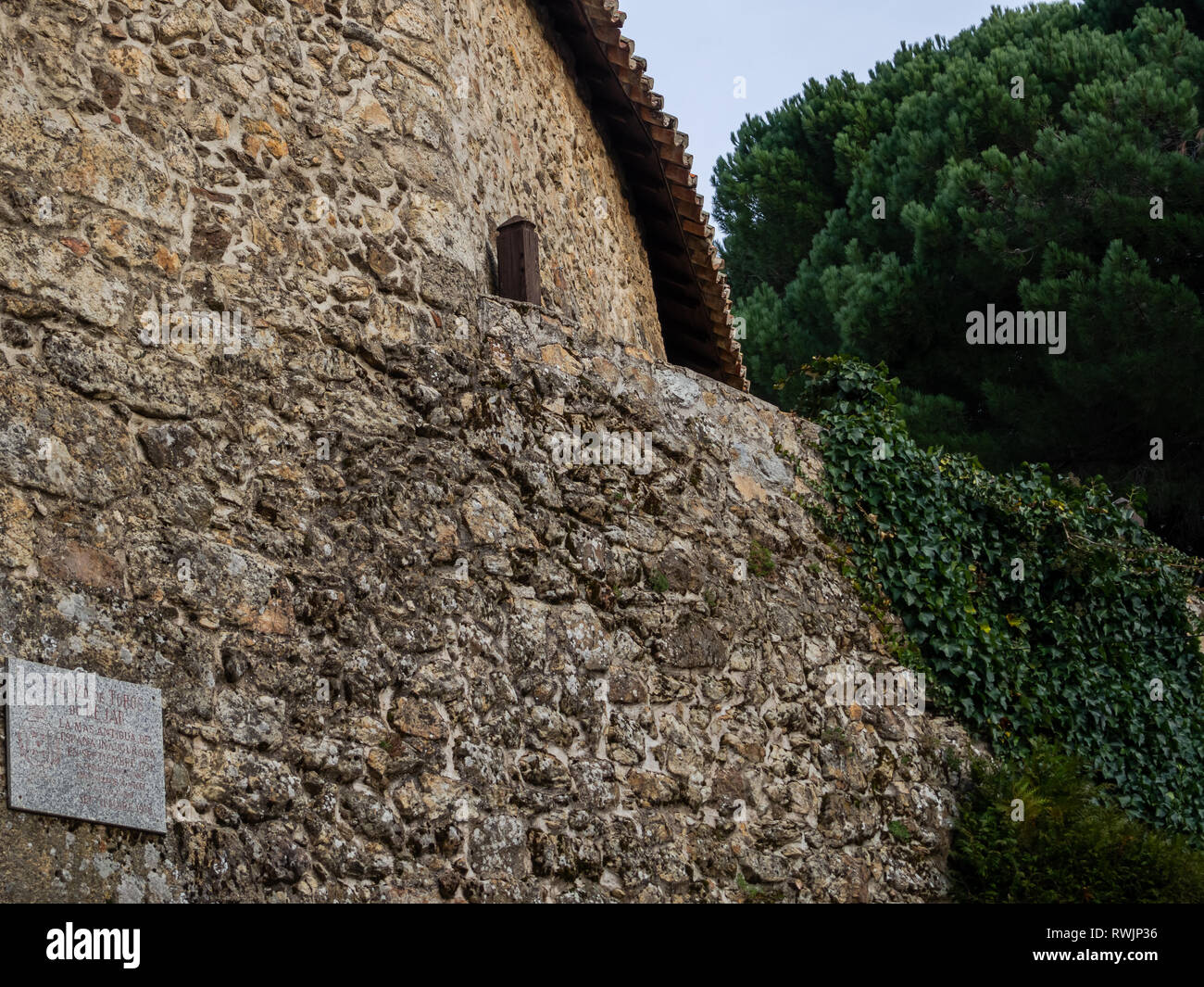 Pine tree next stone hi-res stock photography and images - Alamy