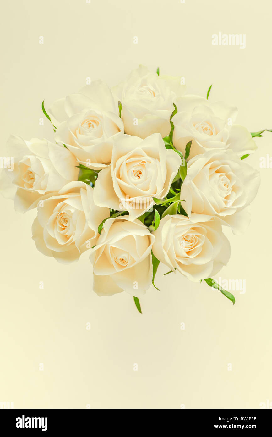 Creative top view flat lay fresh white roses bouquet with copy space ...