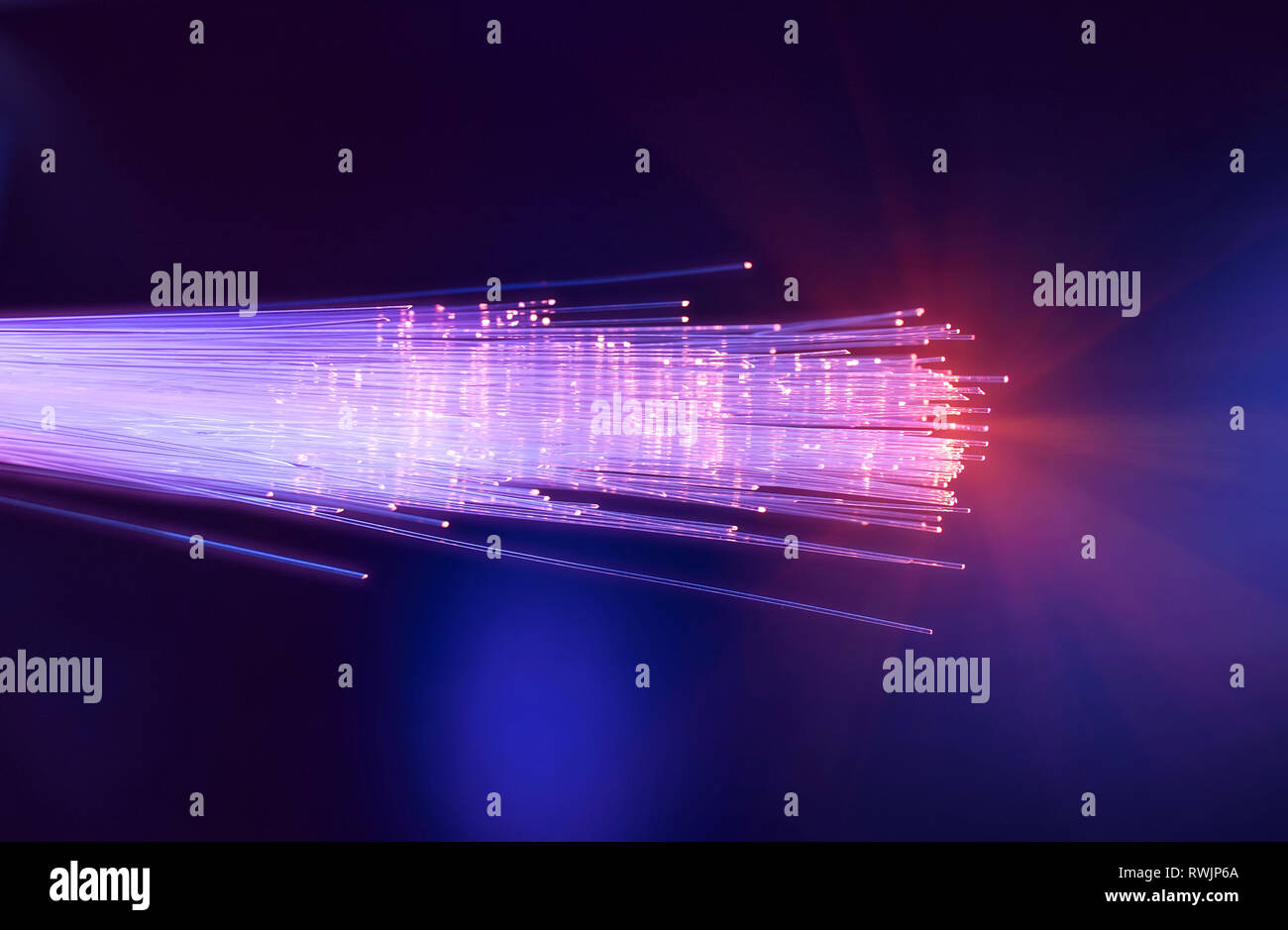 fiber optical network cable Stock Photo - Alamy