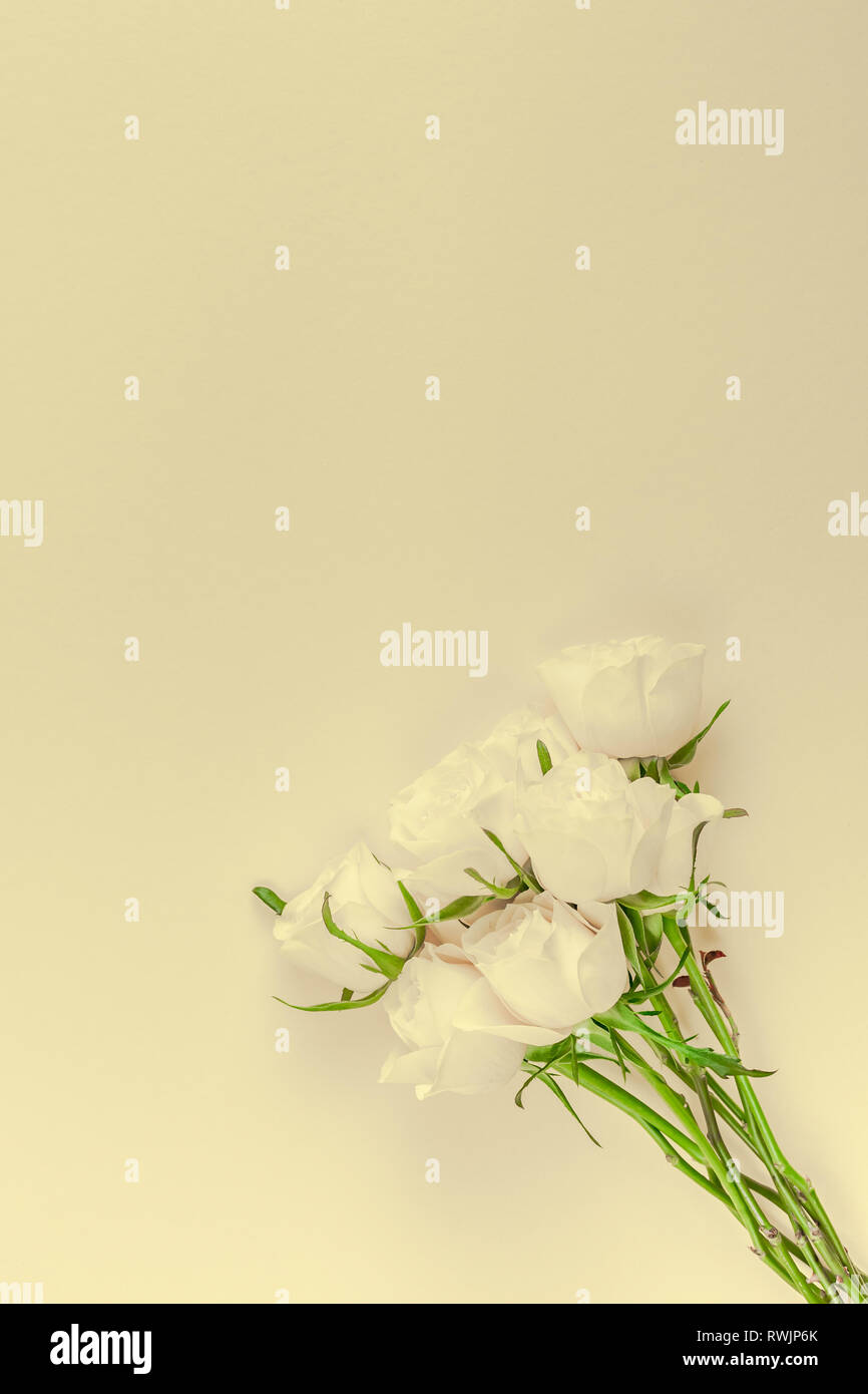 Creative top view flat lay fresh white roses bouquet with copy space ...