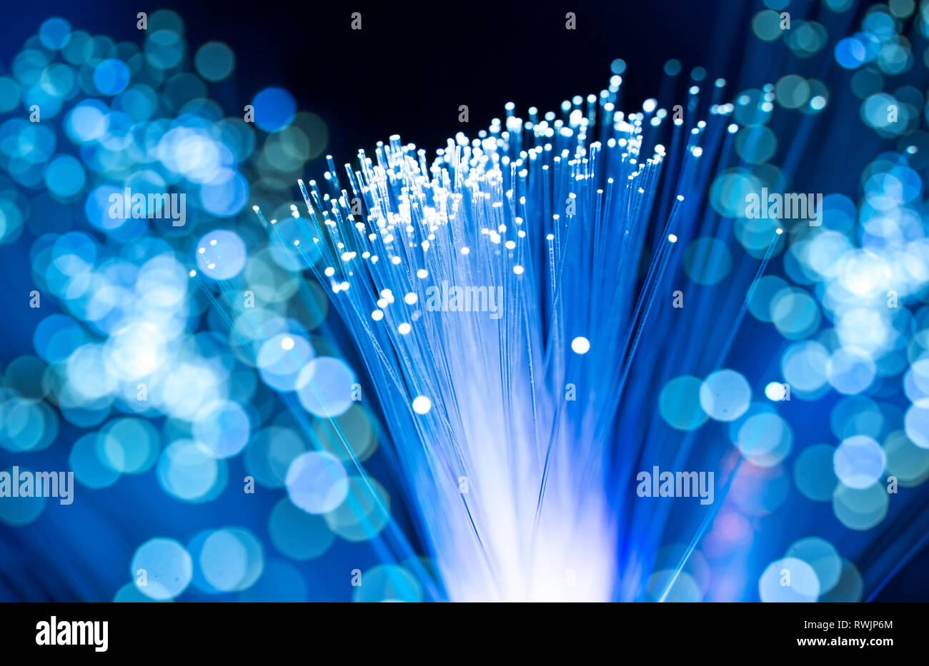 fiber optical network cable Stock Photo - Alamy