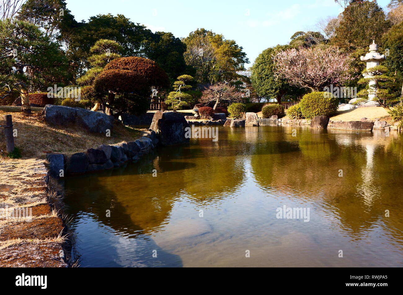 Big koi pond in Akebonoyama park, Abiko, Japan Stock Photo - Alamy