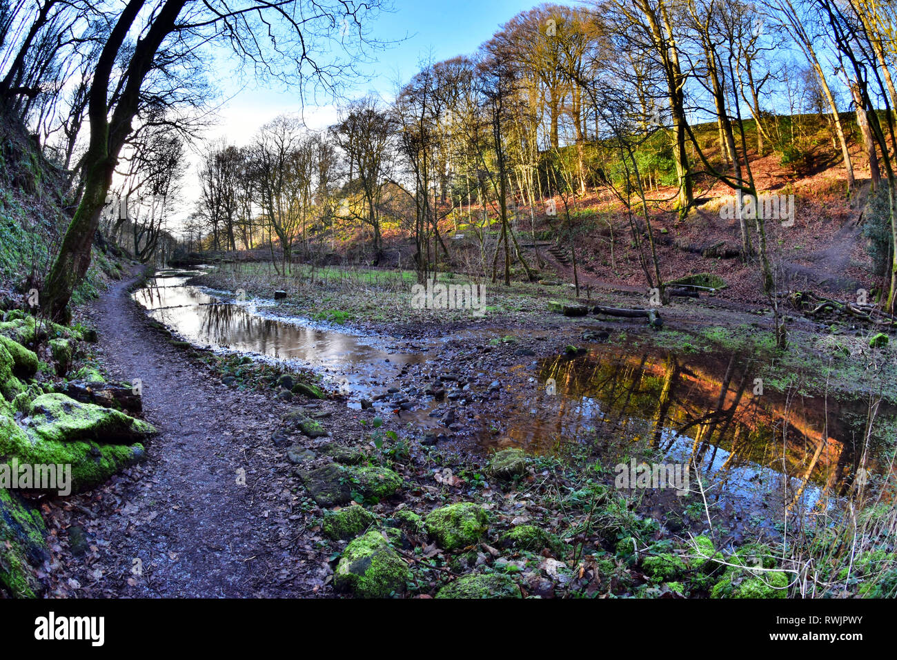 Royd mill hi-res stock photography and images - Alamy
