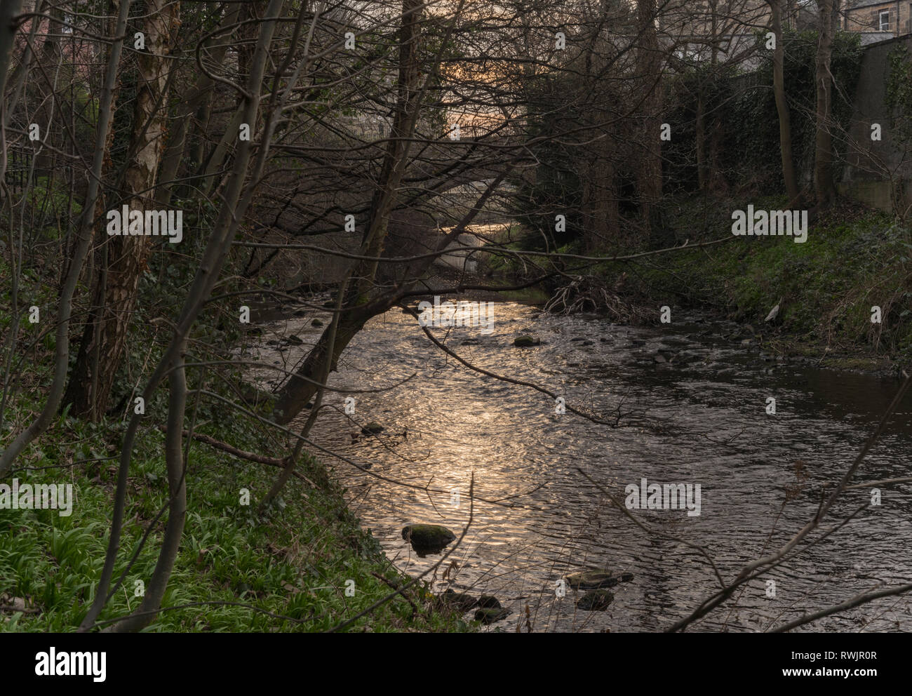 The Water of Leith runs through Edinburgh creating a green artery ...