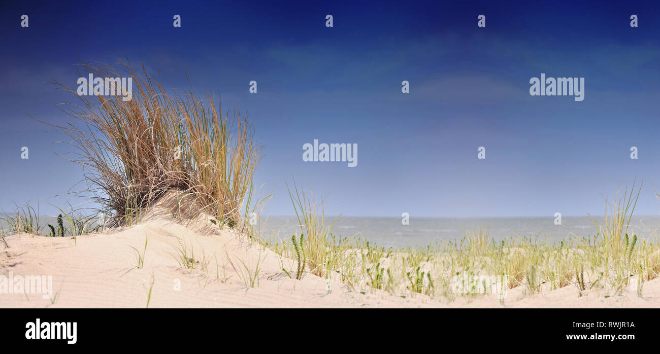 beautiful panoramic view on the seaside from dune with grass Stock ...
