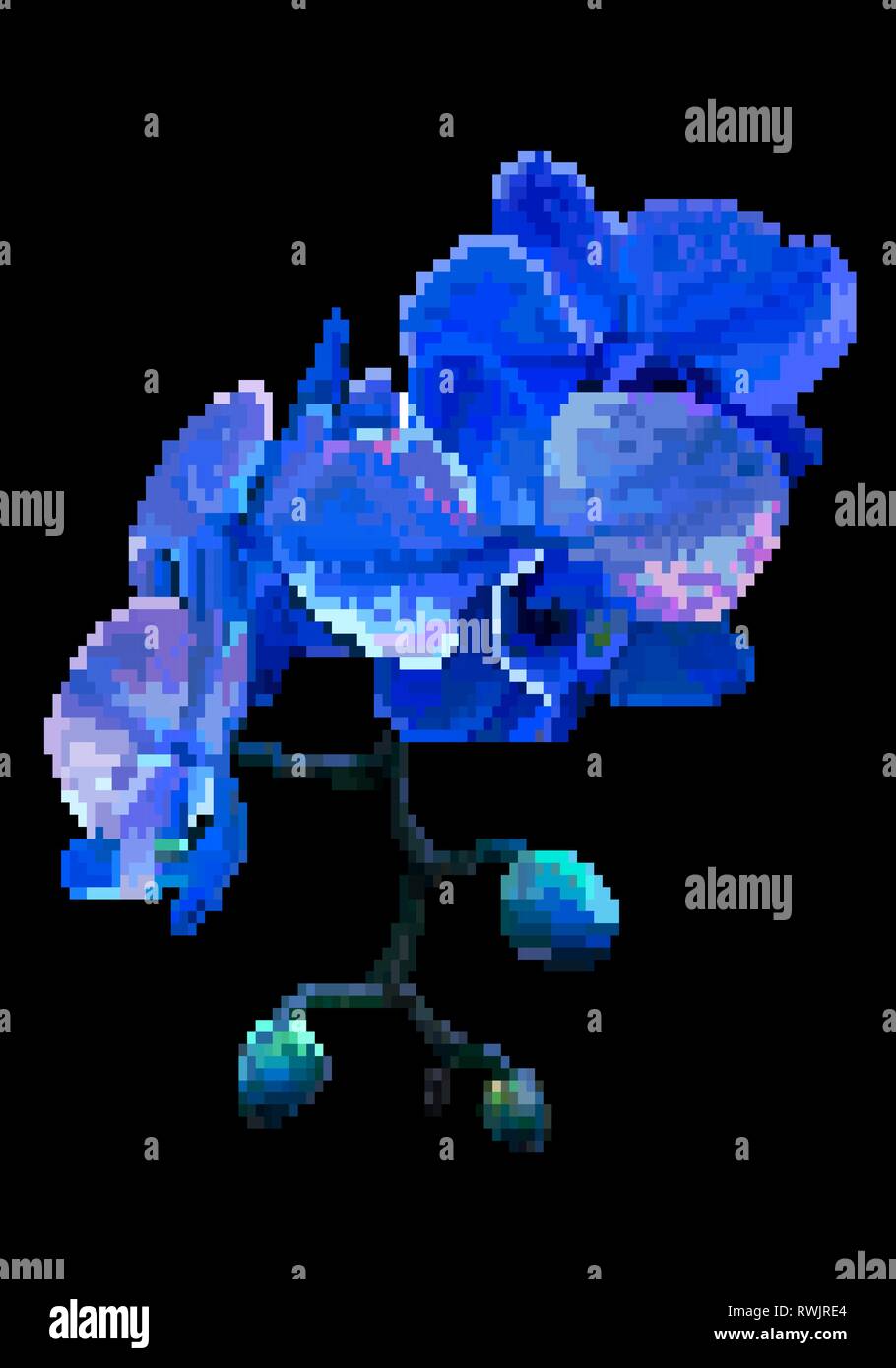 Navy blue meadow flowers pixel art Stock Vector Image & Art - Alamy
