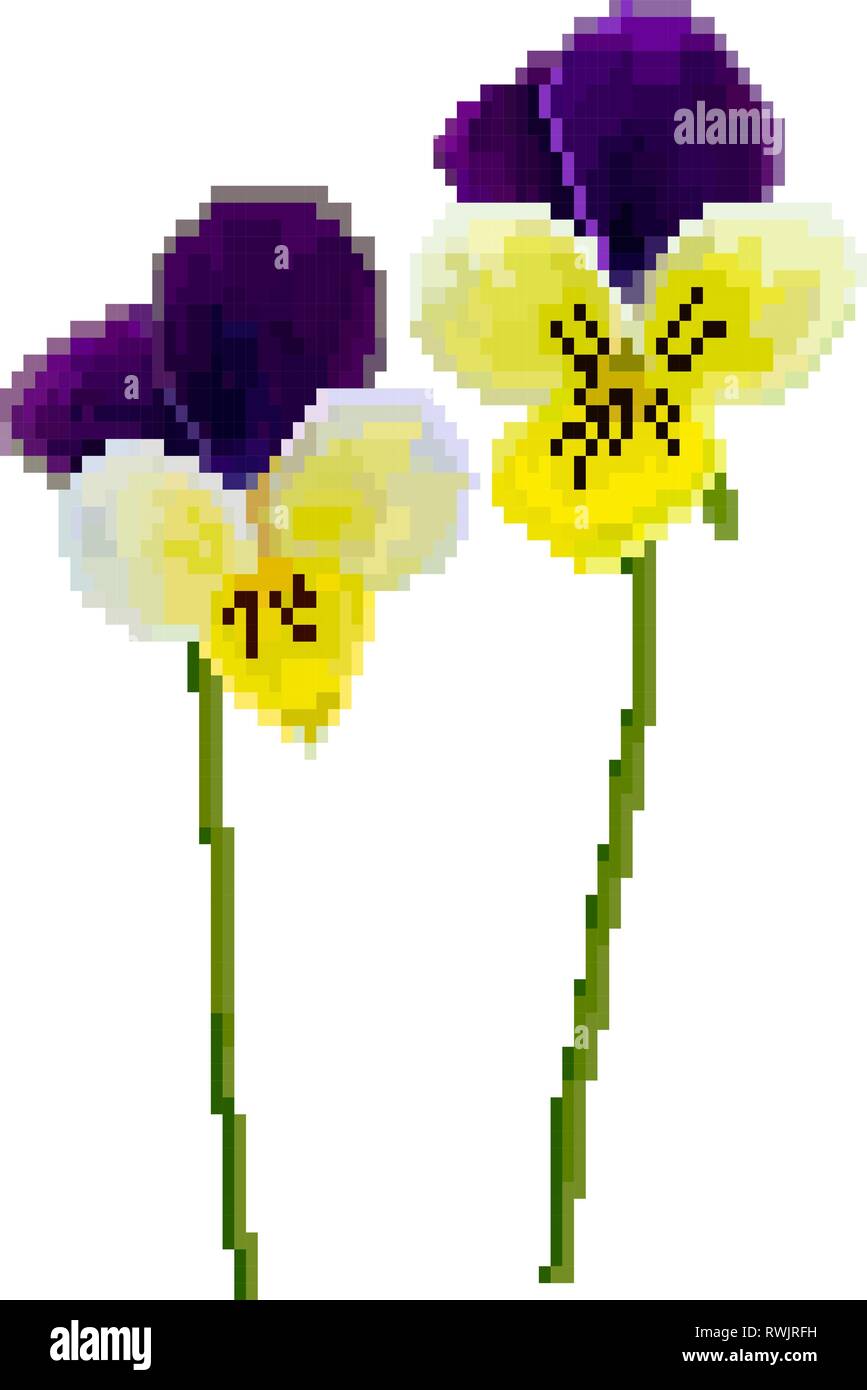 Violet and yellow meadow flowers pixel art Stock Vector Image & Art - Alamy