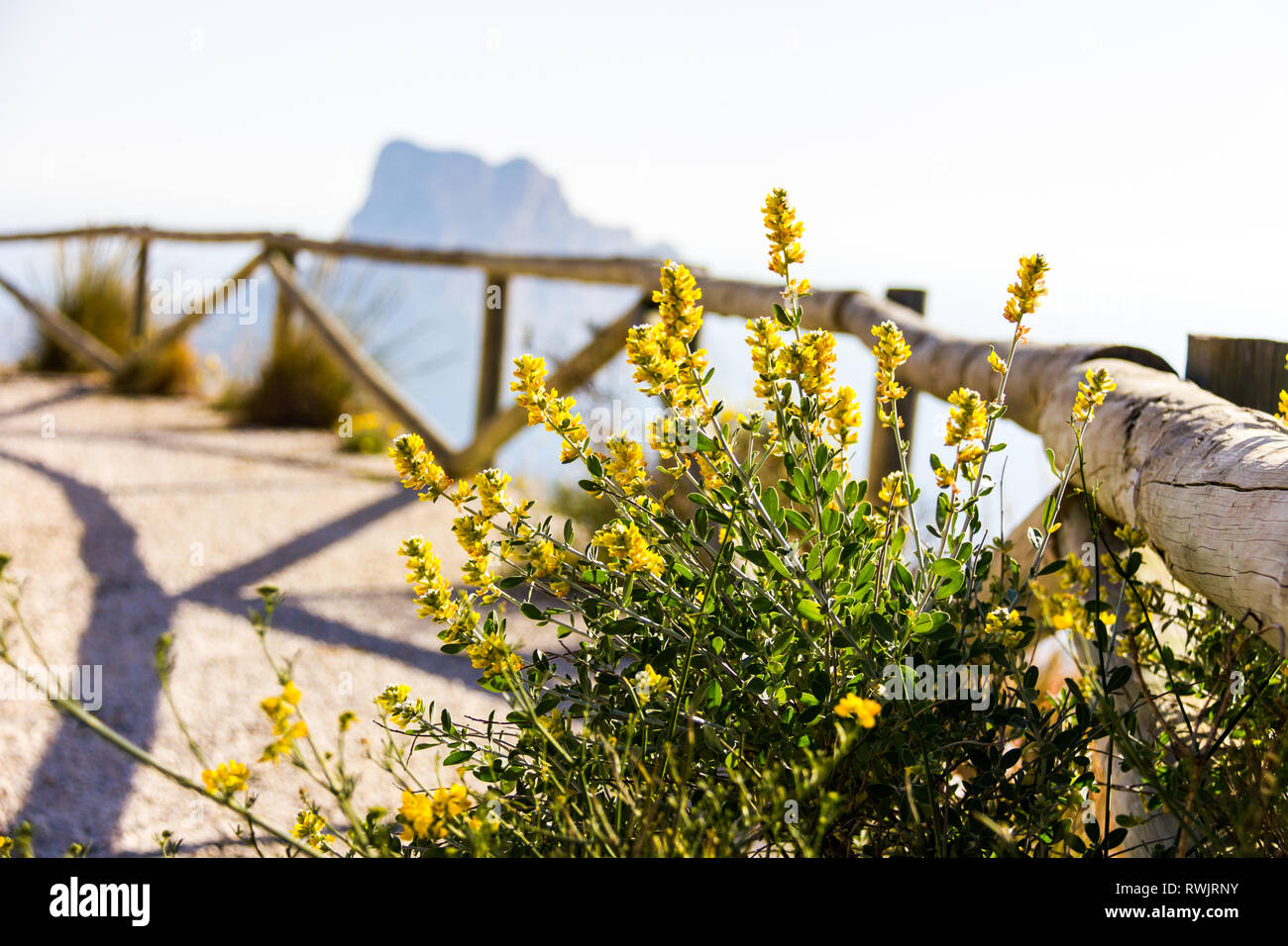 Wooden path railing hi-res stock photography and images - Alamy