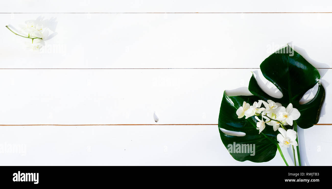 Flat lay white orchid hi-res stock photography and images - Alamy