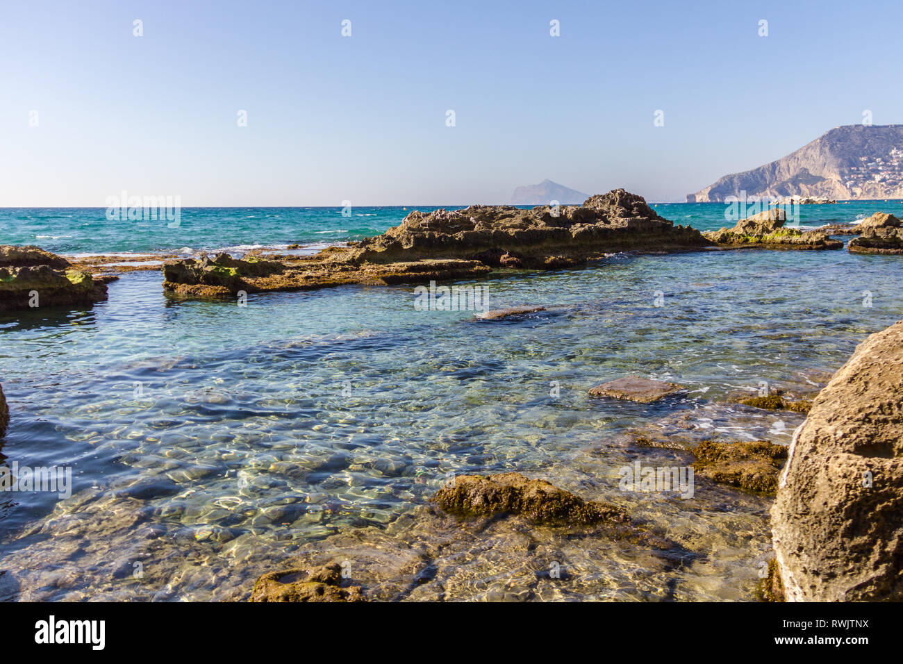Reina blanca hi-res stock photography and images - Alamy