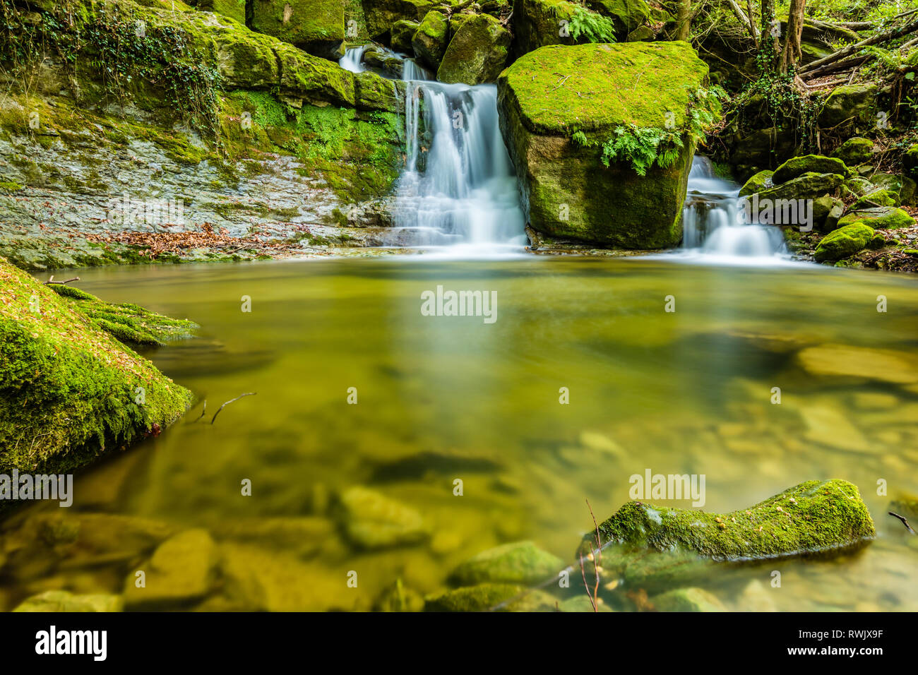Little waterfall in forest flowing hi-res stock photography and images ...