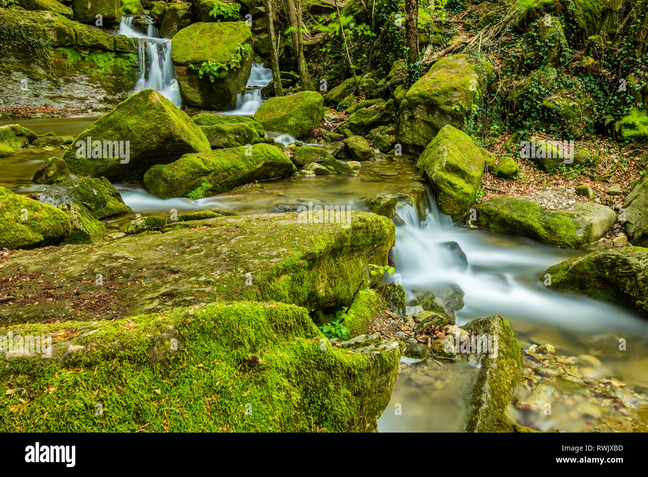 Little waterfalls on a creek Stock Photo - Alamy