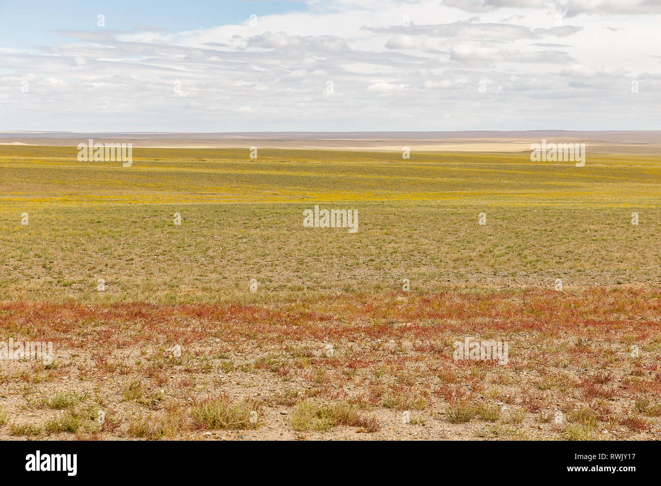Mongolian landscape in the Gobi desert, Mongolia Stock Photo - Alamy