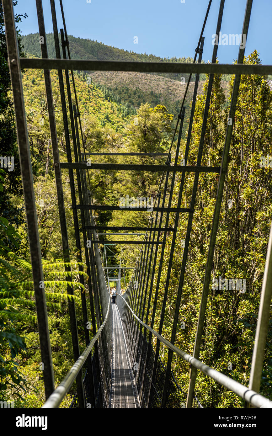 Waiohine bridge hi-res stock photography and images - Alamy