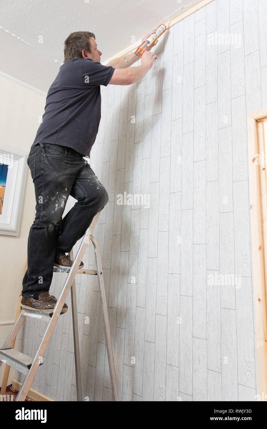 Man filling gaps in joints using mastic gun on step ladder Stock Photo ...
