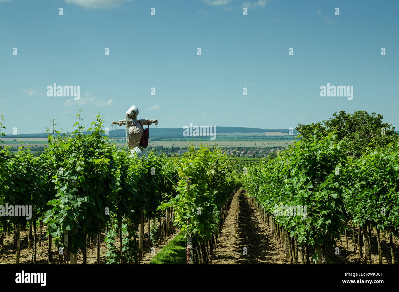 Spring time harvest hi-res stock photography and images - Alamy