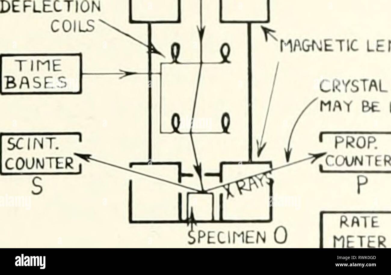 Scanning Electron Microscope Block Diagram